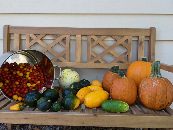 A Fall Harvest – Mom's Guide to the Galaxy